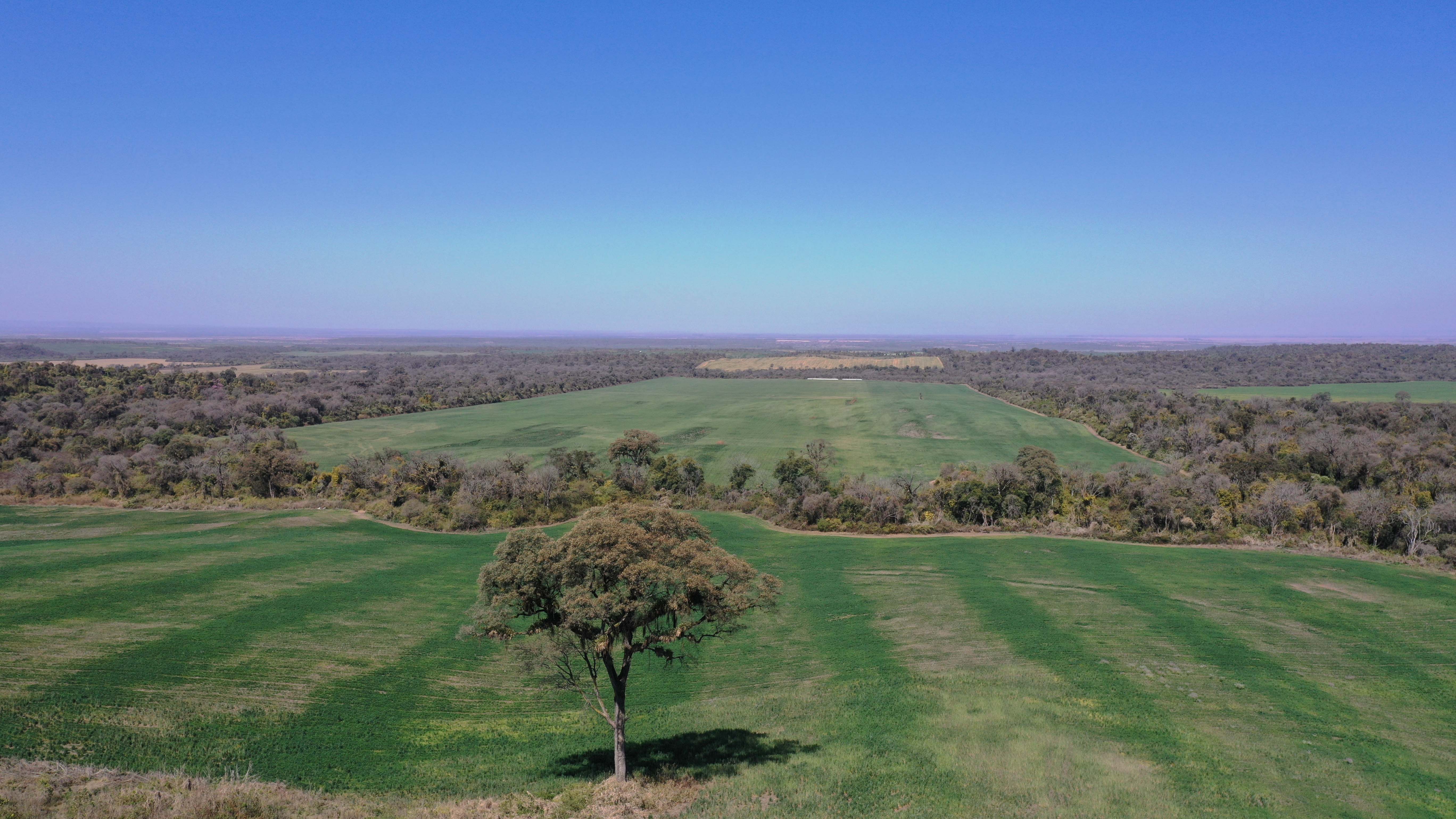 Río Piedras - CONTE