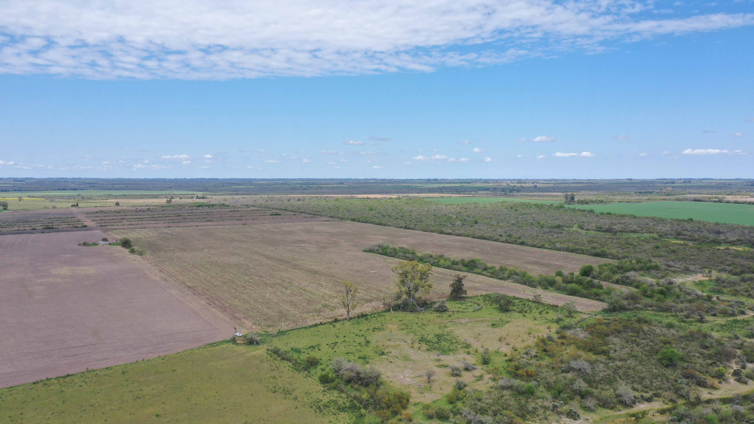 CONTE - Bienes Raices